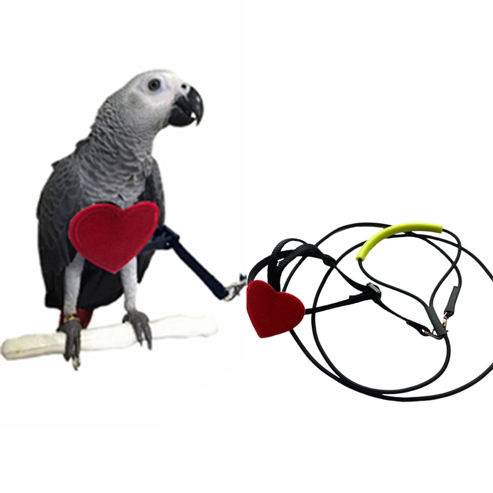 Cheers.US Pet Parrot Bird Harness Leash Bird Flying Harness Traction ...