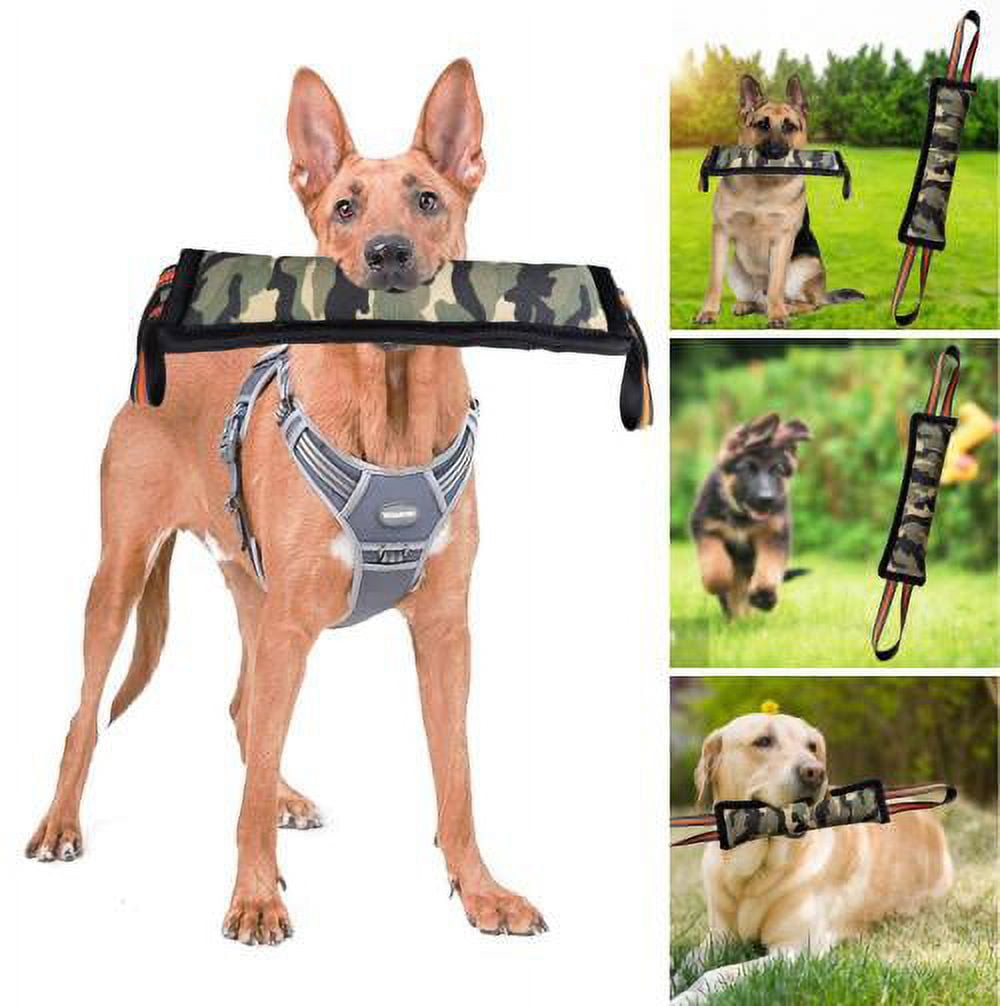 Cheers.US Puppy Training Interactive Play, Handles Teeth Grinding ...