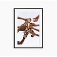 Cheers Wall Art Champagne Cin Cin Cheers Museum Quality Photography ...