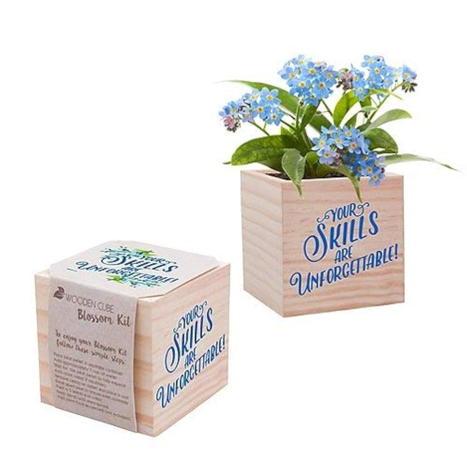 Cheersville! 3-Inch Plant Cube Appreciation Gift ITL1 - Includes Forget ...