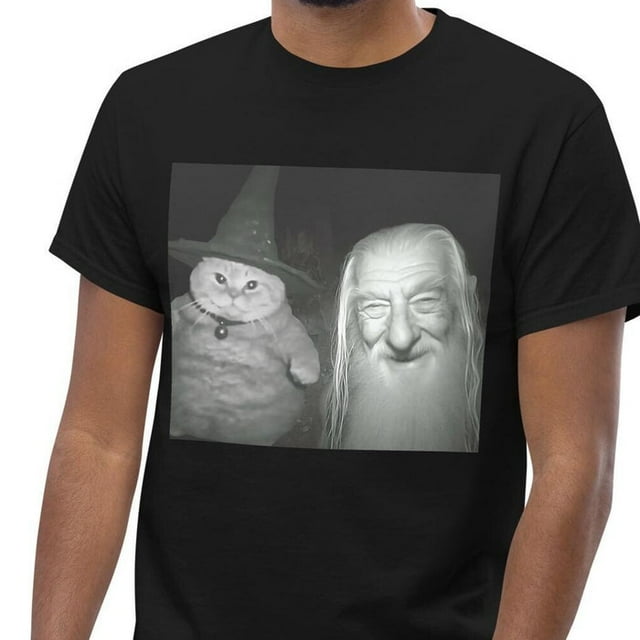 Cheeseball the Wizard T-Shirt - Funny AI Meme Cat - Magic Sorcerer Cat ...