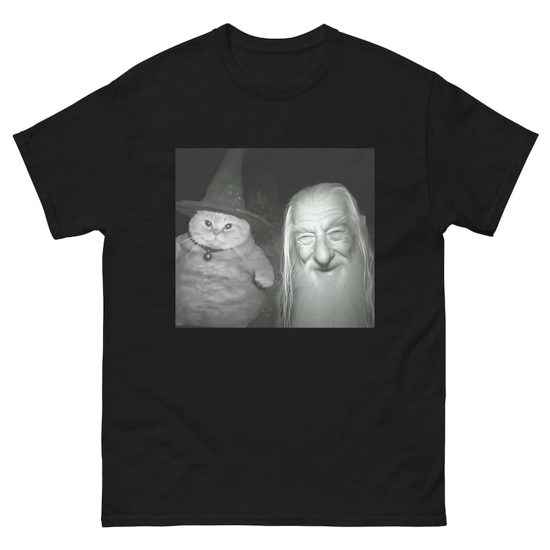 Cheeseball the Wizard T-Shirt - Funny AI Meme Cat - Magic Sorcerer Cat ...