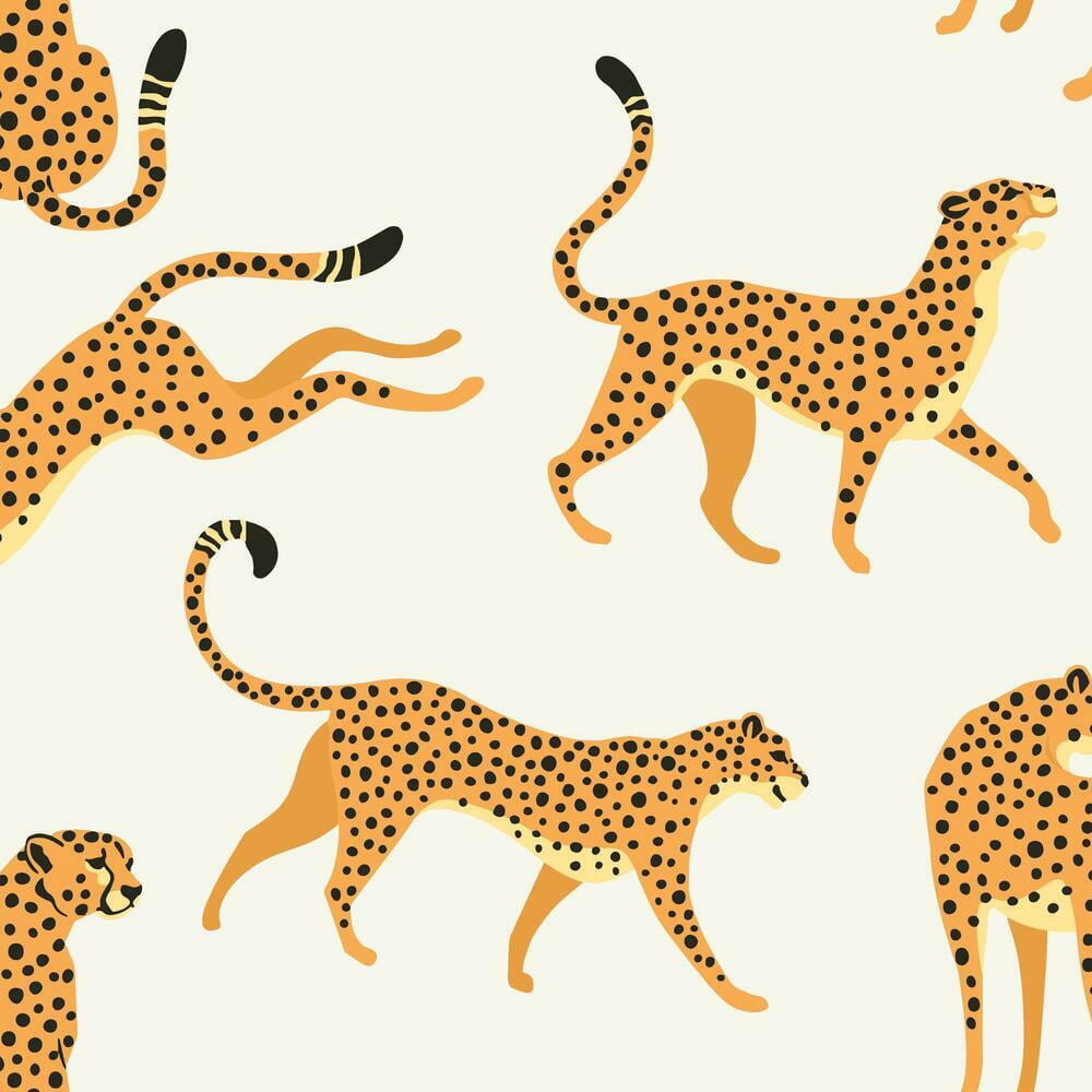 Cheetah Cheetah Peel and Stick Wallpaper - Walmart.com