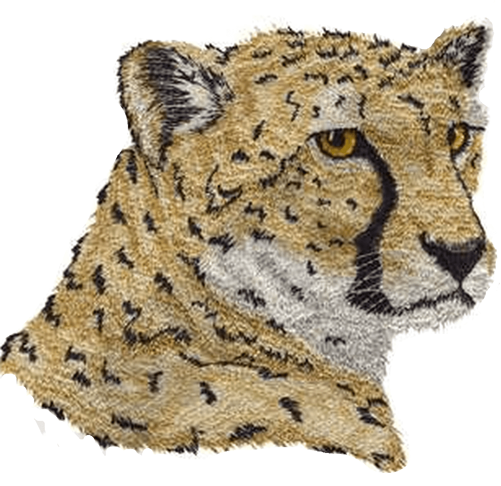 Cheetah Head, Wild Cats, Exotic Cat Embroidered Patch Large 7.9" x 6.4 ...