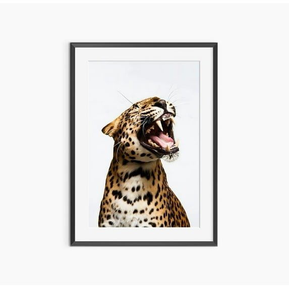Cheetah Print, Photography Prints, Funny Wall Art, Animal Prints ...