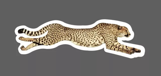 Cheetah Sticker Running Waterproof Sticker Phone Decal Water Bottle ...