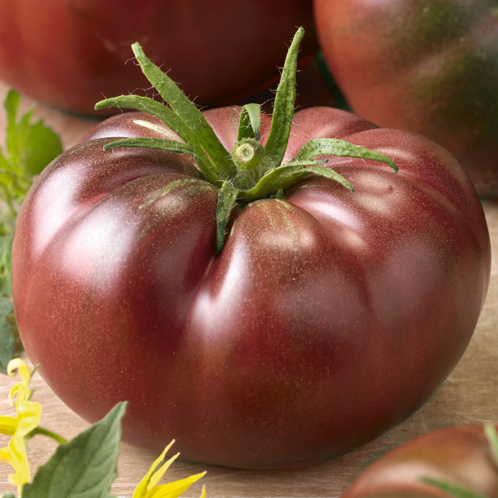 Chef's Choice Black F1 Hybrid AAS Tomato Seeds - 1 Oz ~6800 Seeds - Non ...