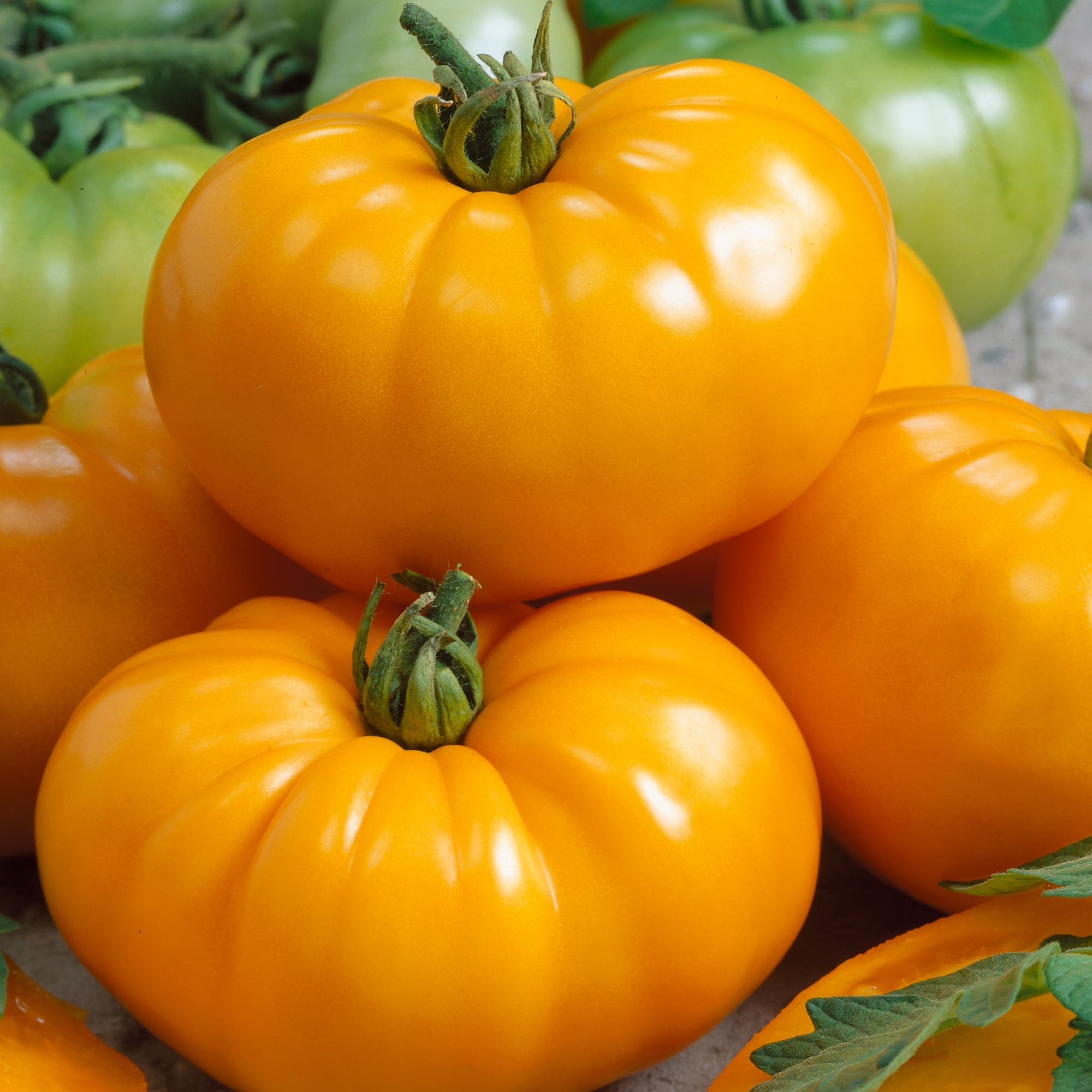 Chef's Choice Yellow F1 Hybrid AAS Tomato Seeds - 1 Oz ~6800 Seeds ...