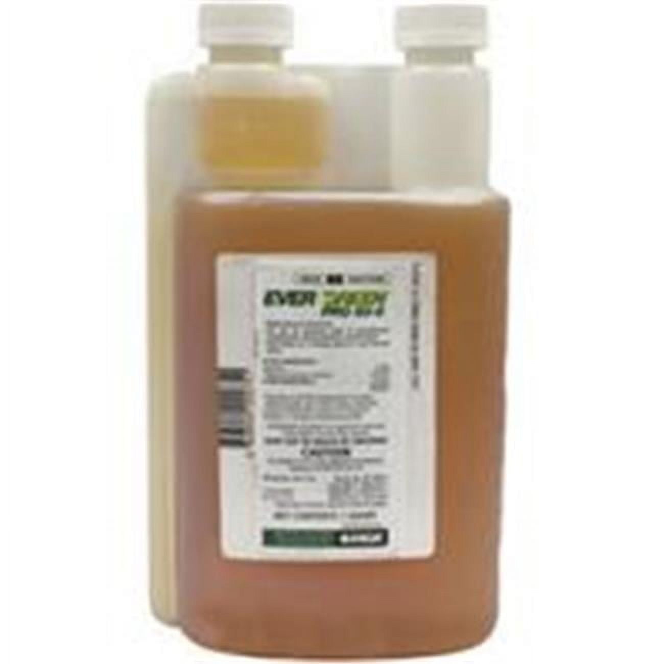 Chemtech D 699800 60-6 qt Evergreen Pro Fly Insecticide Concentrate ...