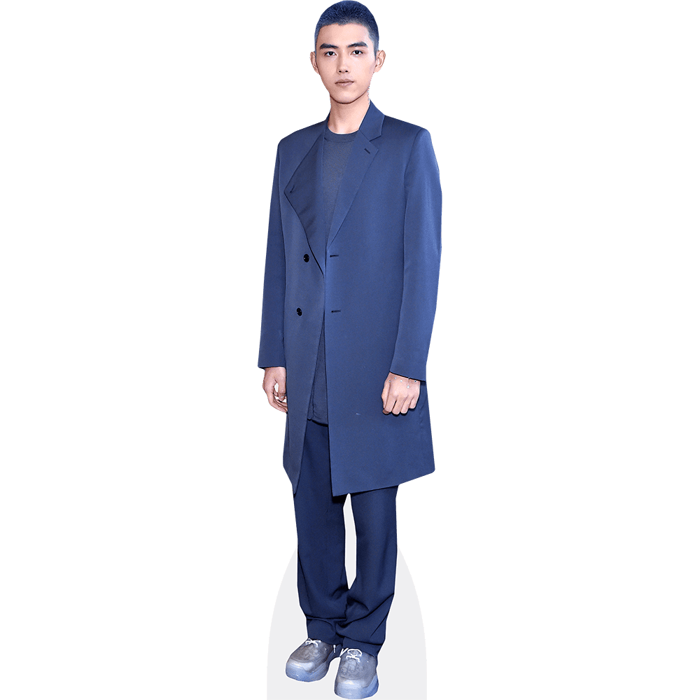 Chen Feiyu (Blue) Mini Size Cutout. Standee. - Walmart.com