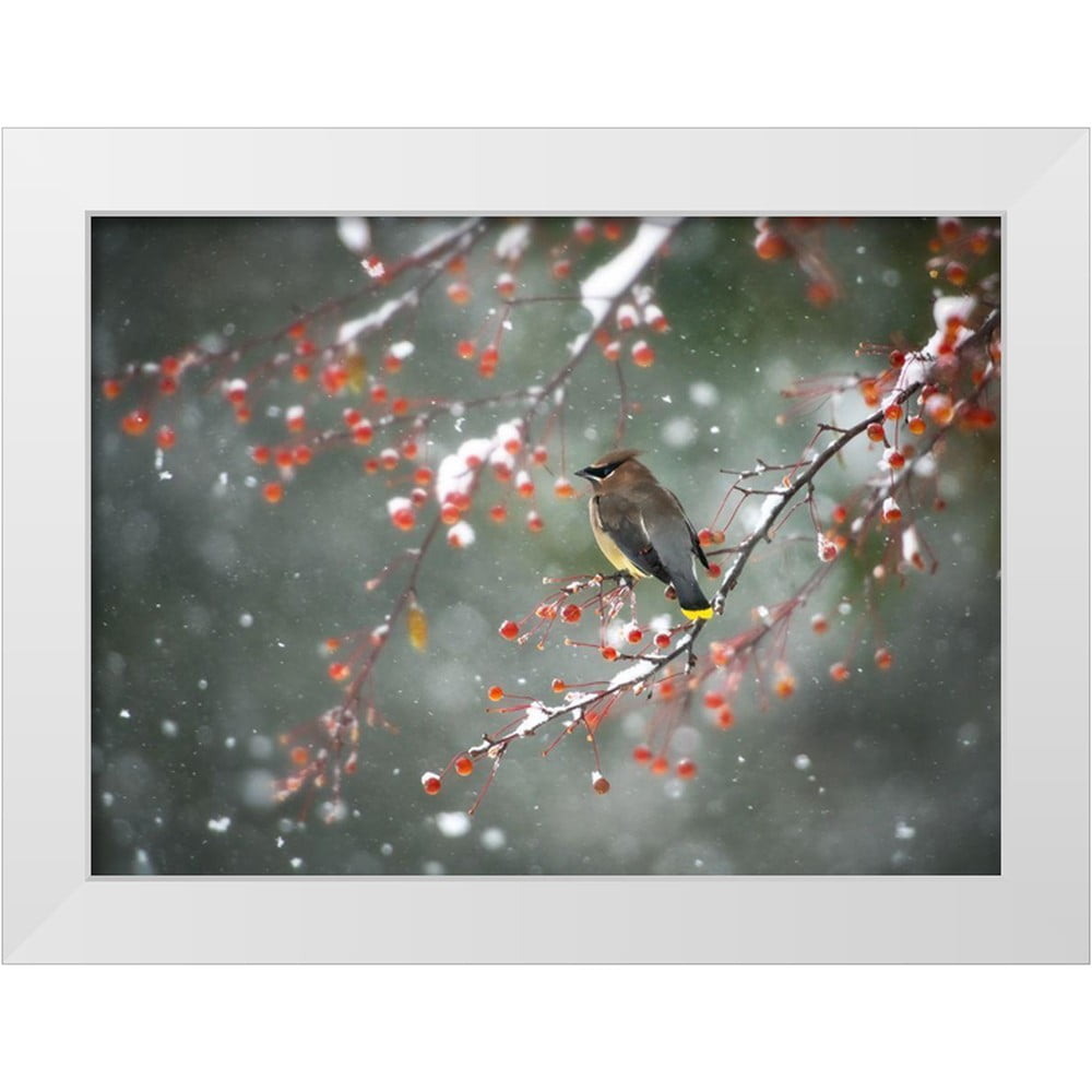 Chen, Hong 32x24 White Modern Wood Framed Museum Art Print Titled ...