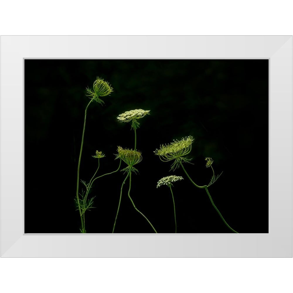 Chen, Jennifer 24x18 White Modern Wood Framed Museum Art Print Titled ...