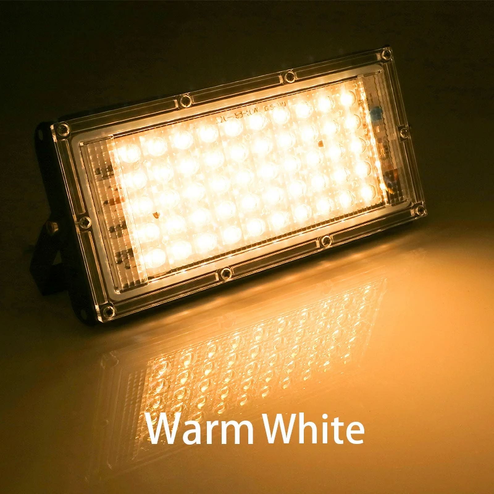 Chen Jincai50W 100W Waterproof IP65 LED Flood Light AC 220V 110V ...