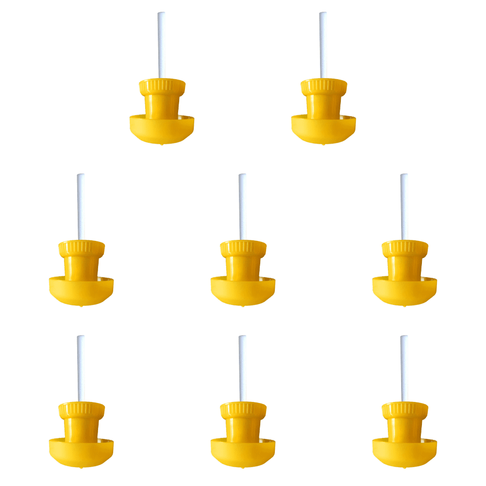 Chen Yuming 10PCS Garden Insect Pest Control Fruit Fly Trap Killer Hanging Drosophila Killer ...