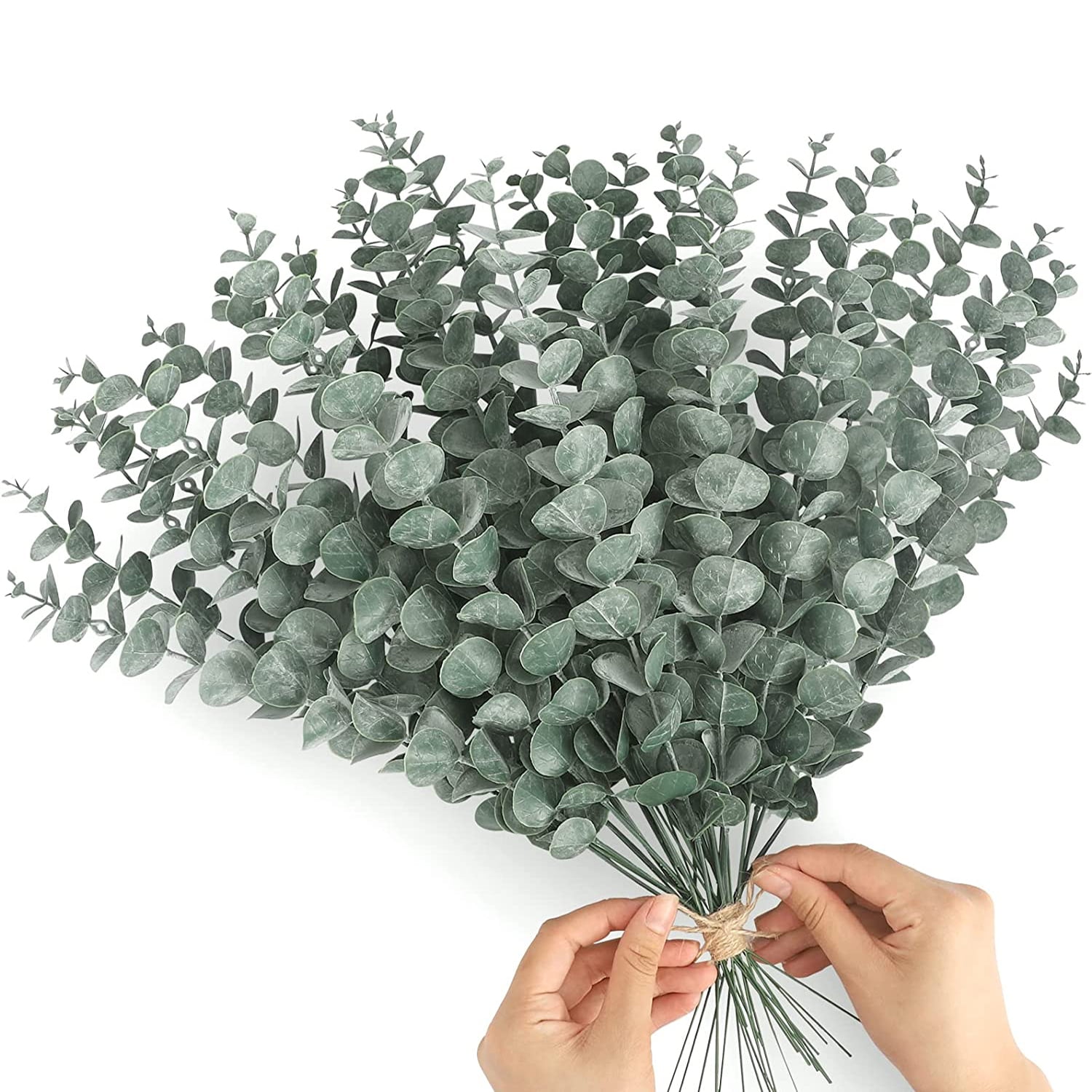 Chen Yuming Yannew 12pcs Artificial Eucalyptus Stems Silver Dollar Greenery Fake Plants for ...