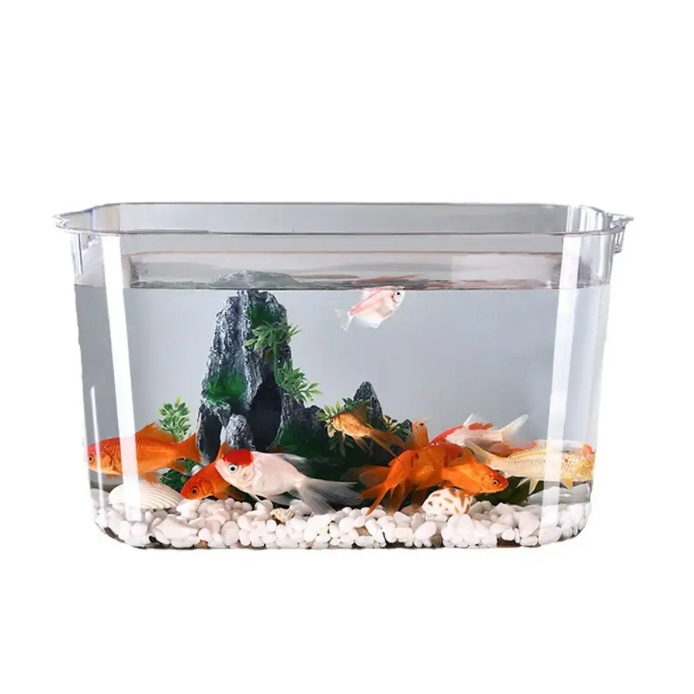 ChengZhiqiangqgwg Fall Prevention Explosion-proof Plastic Fish Tank ...