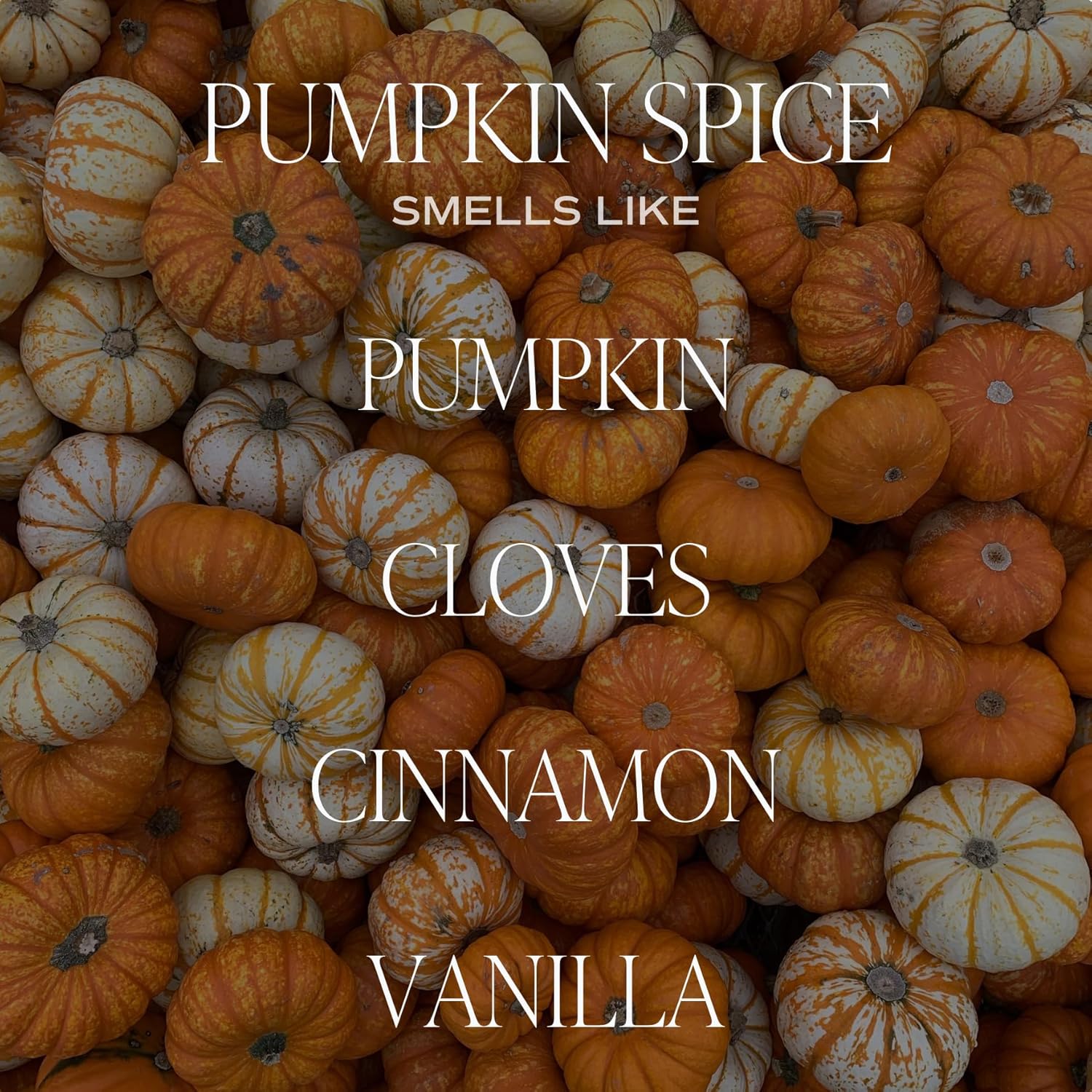 Chenran-Pumpkin Spice Candle - Fall Candles with Pumpkin, Clover ...