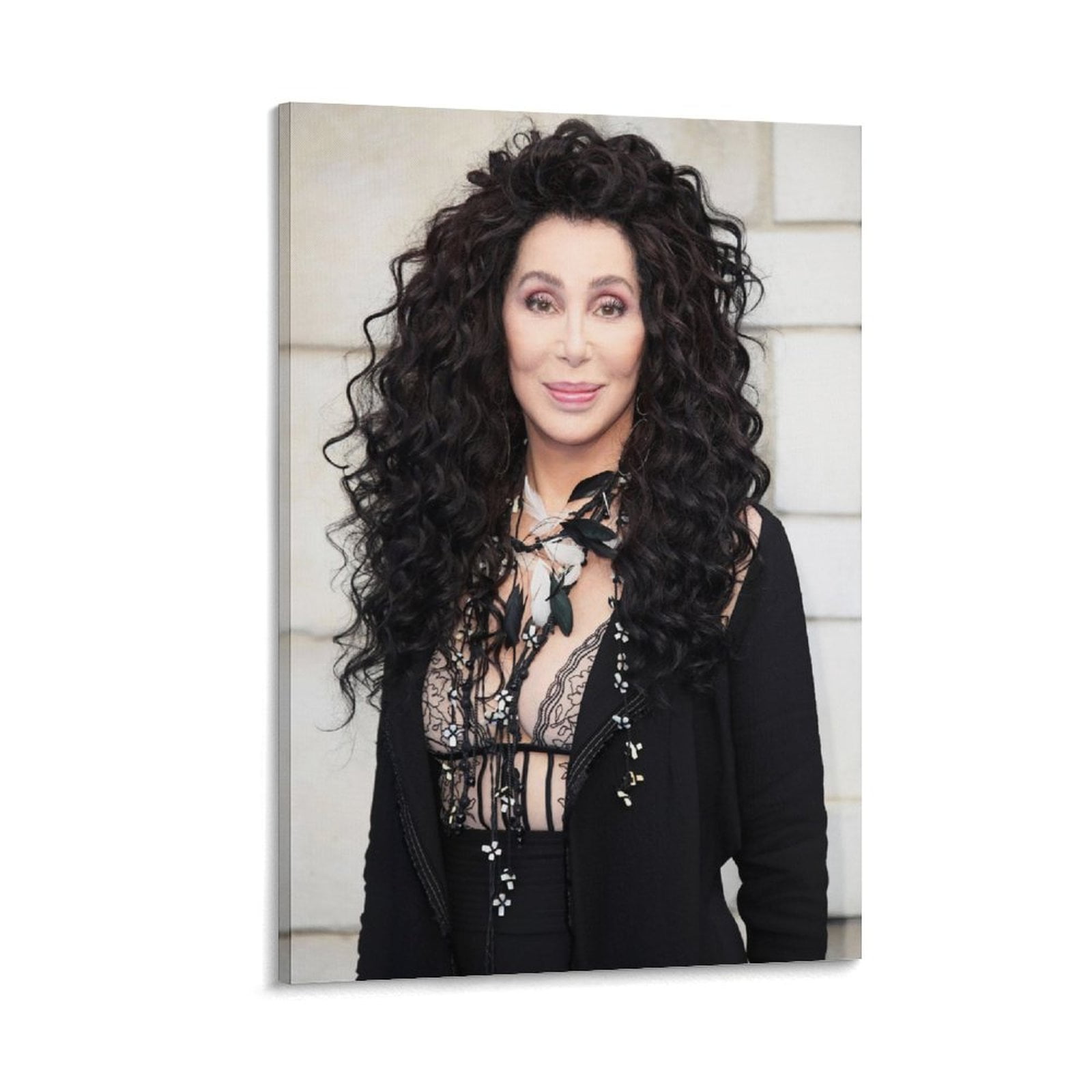 Cher Wall Art Picture for Artwork Poster (7)Canvas Poster Print Bedroom ...