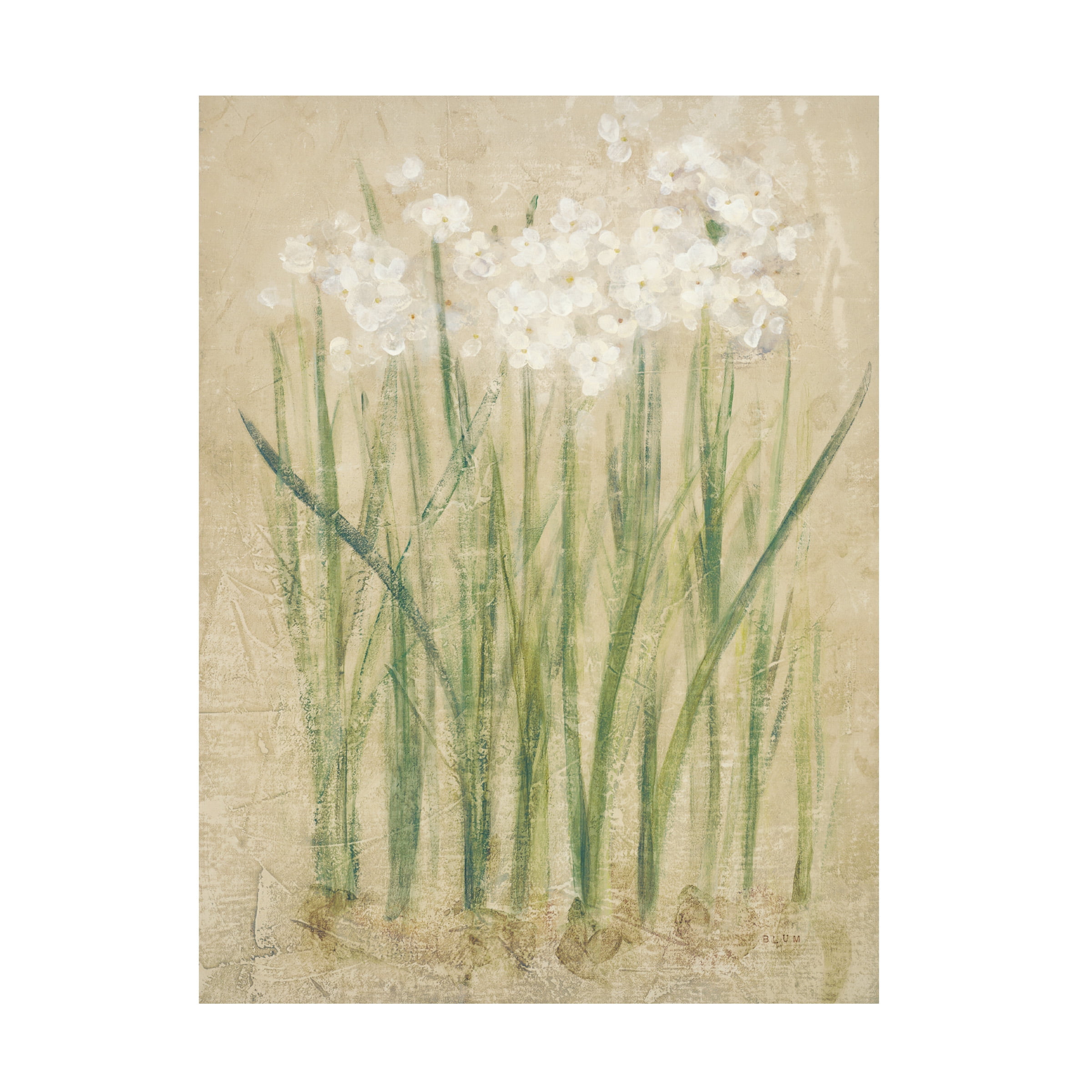 Cheri Blum 'Narcissus Cool' Canvas Art - Walmart Business Supplies