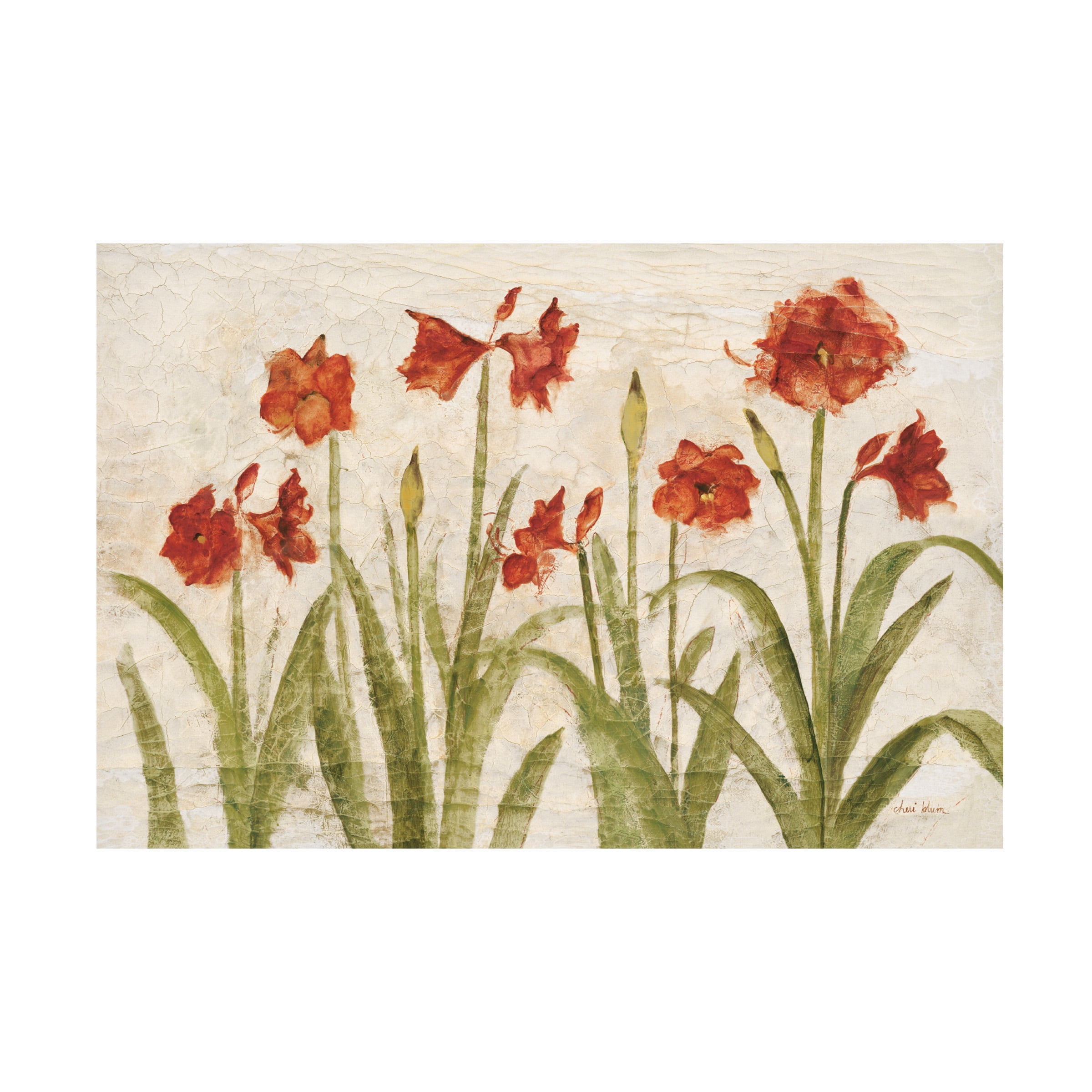 Cheri Blum 'Row of Red Amaryllis Light' Canvas Art - Walmart.com