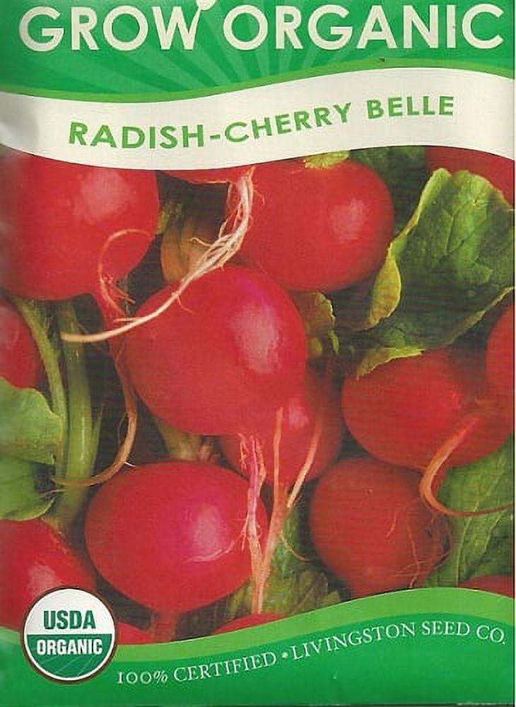 Cherry Belle Radish Seeds - 50 Seeds - Walmart.com