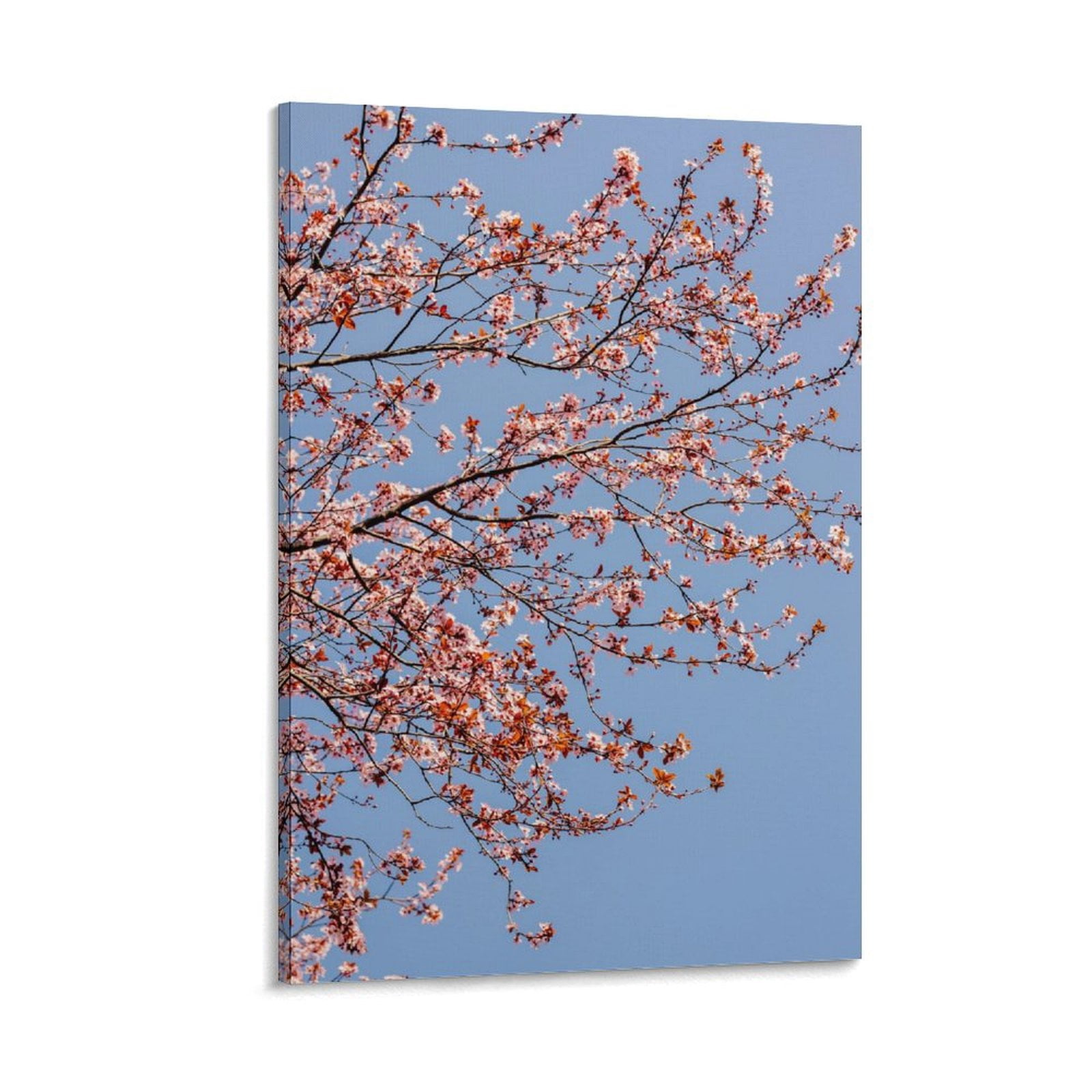 Cherry Blossom Branches Under The Blue Sky And White Clouds Poster Home ...