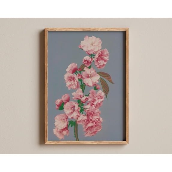 Cherry Blossom Vintage Botanical Art Japanese Sakura Antique