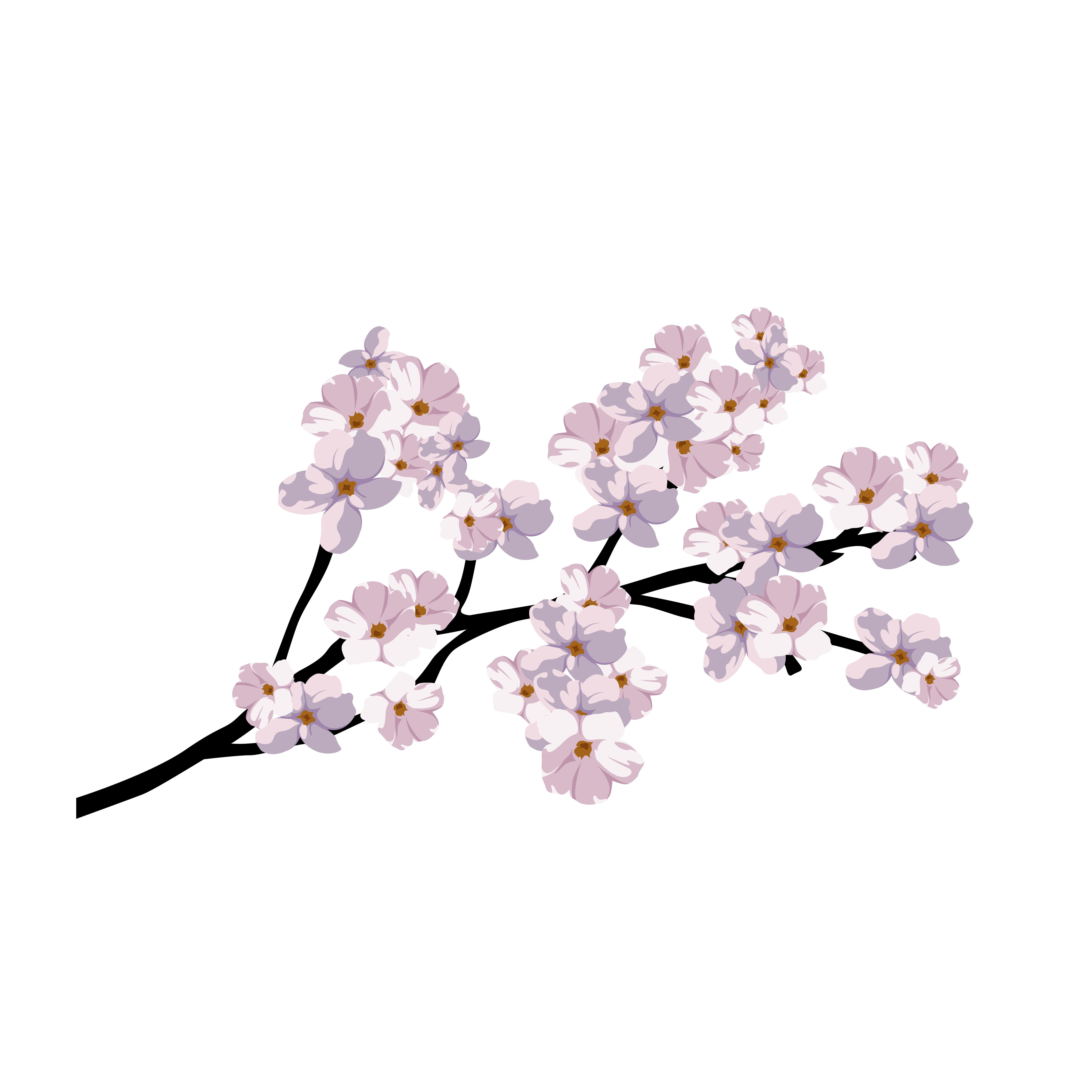 Cherry Blossom Wall Decals -Floral Themed- Peel and Stick -Sticker for ...