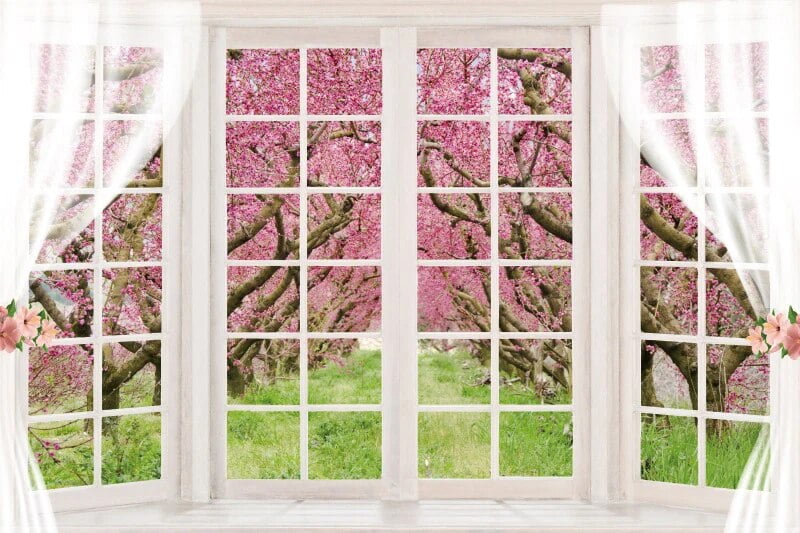 Cherry Blossoms Window Backdrop Spring Garden Pink Cherry Flower Baby ...