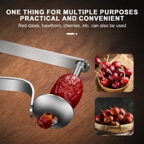Opvise 304 Stainless Steel Multi-Fruit Core Separator Tool – Ergonomic ...