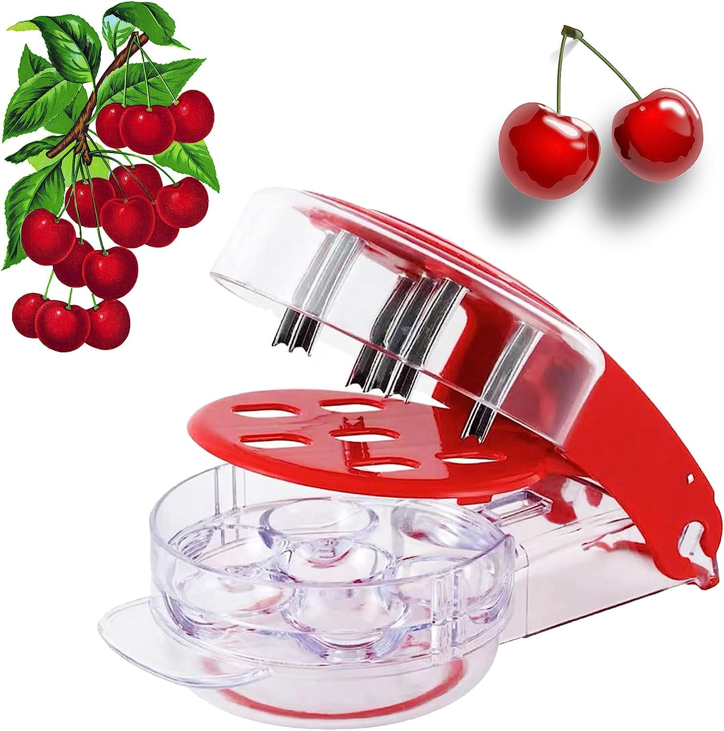 Cherry Pitter Tool Pit Remover, Cherries Seed Remover 6 at a Time ...