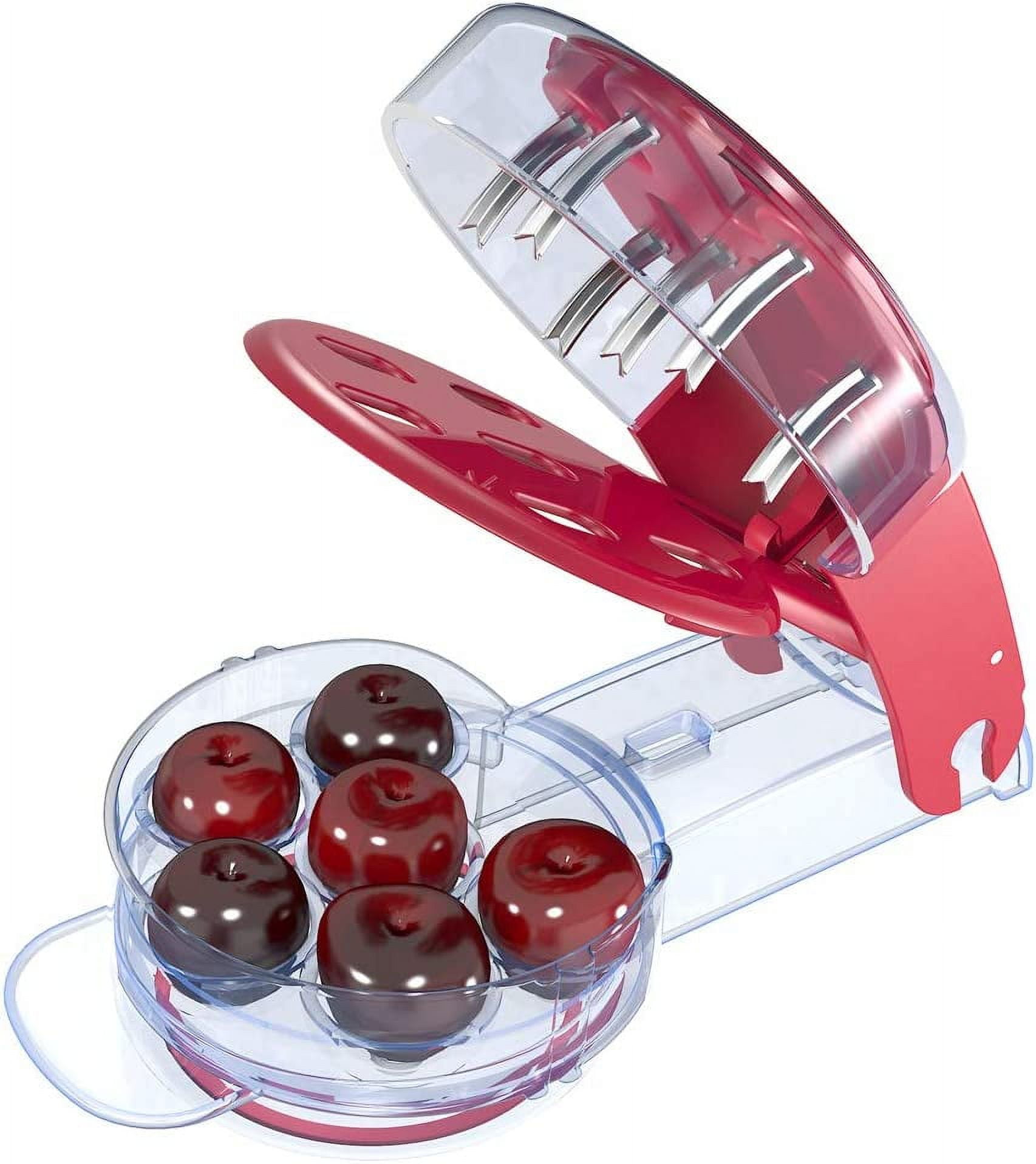 Cherry Pitter Tool, Stainless Steel Cherry Remover,6 Cherry/Olive ...