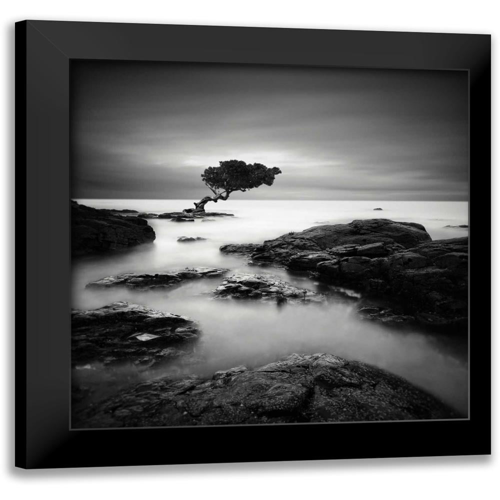 Cherry, Rob 15x15 Black Modern Framed Museum Art Print Titled - Tree of ...