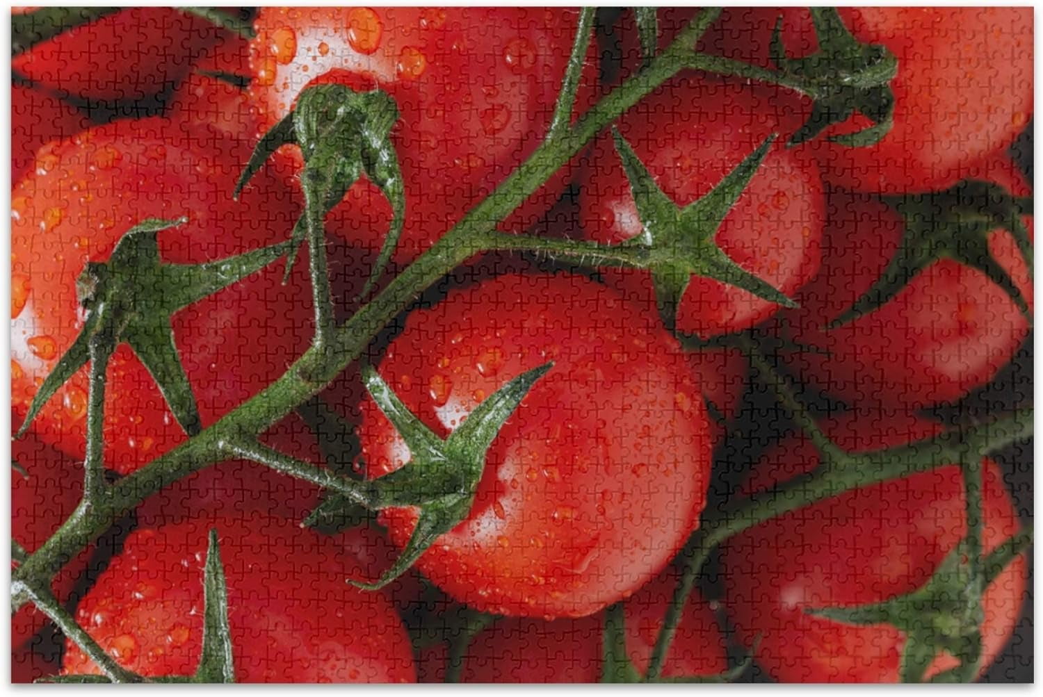 Cherry Tomatoes Jigsaw Puzzle 500 Pieces for Adults Teens Kids, Fun ...