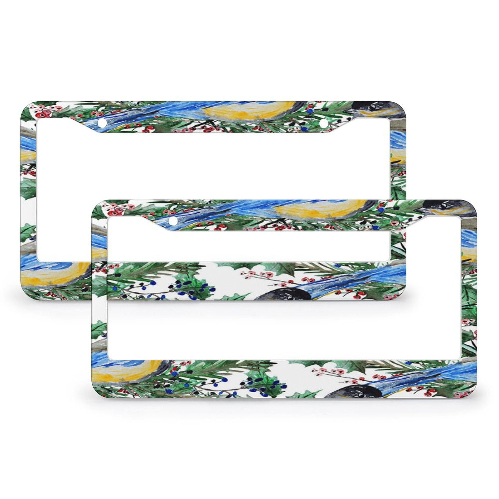 Cherry Tree And Bird License Plate Frame 2 Pack License Plate Holder ...
