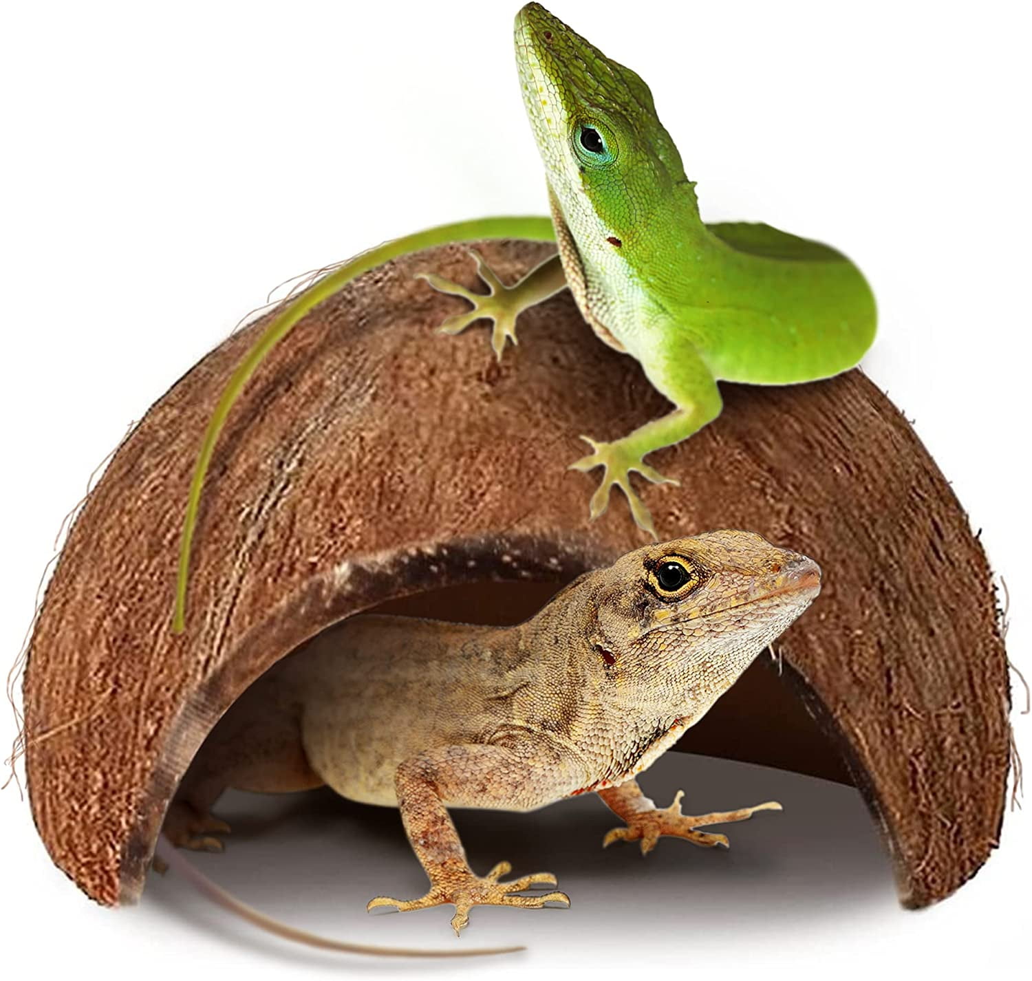 Cherryhome Habitat Hideout Reptile, Lizard, Spider, Aquarium, Fish Hide ...