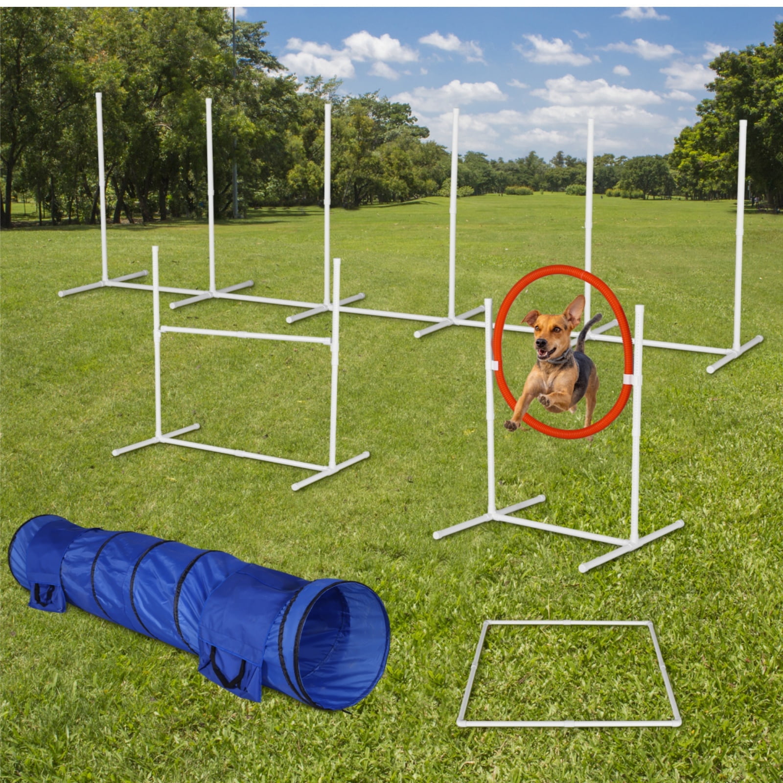 Chery Industrial 6Pack Dog Agility Training Equipment Set - Walmart.com