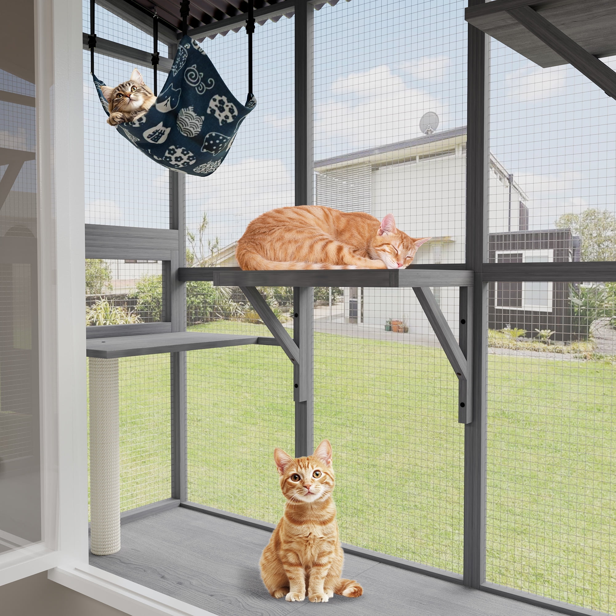 Chery Industrial Large Walk-in Outdoor Catio for Cats – Window Cat Enclosure with Roof, 3 Access ...