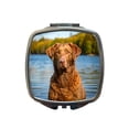 Chesapeake Bay Retriever Dog Photo Travel Makeup Handbag Purse Small ...