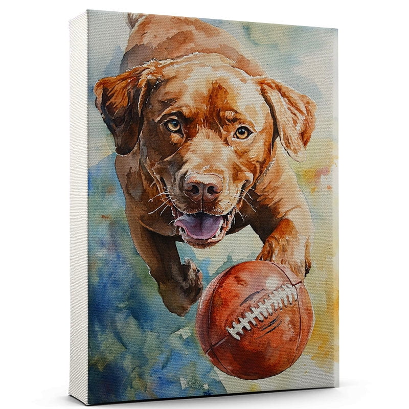 Chesapeake Bay Retriever Dog Playing American Football Wall Stretched ...
