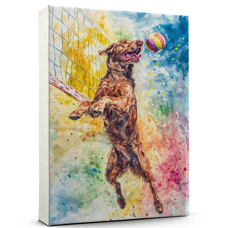 Chesapeake Bay Retriever Dog Stretched Canvas Size 8x12 – Volleyball ...