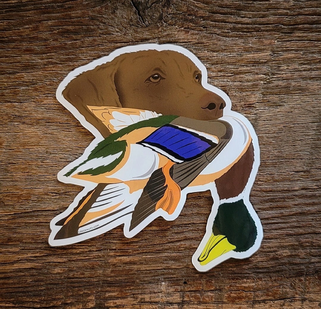 Chesapeake Bay Retriever with Mallard Duck Sticker Decal - Walmart.com