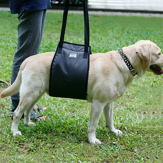 Chest Support Harness for Joint Injury Rehabilitation and Recovery ...