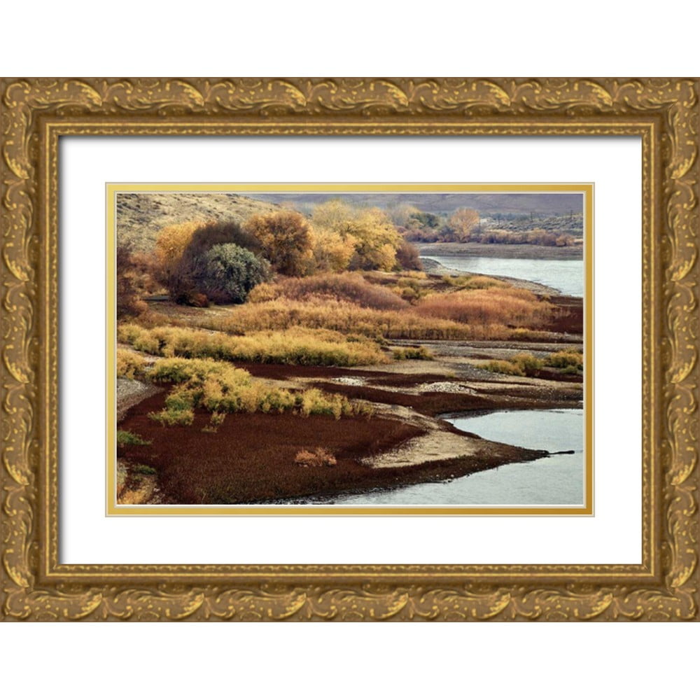 Chester, Colby 14x11 Gold Ornate Wood Framed with Double Matting Museum ...