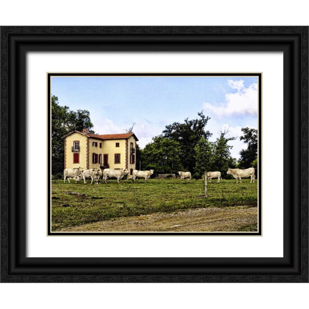 Chester, Colby 14x12 Black Ornate Wood Framed with Double Matting ...