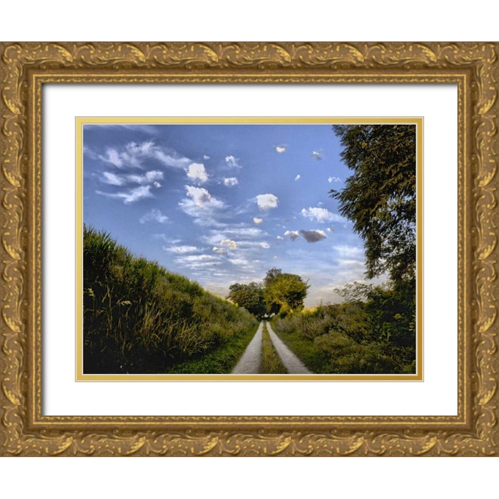 Chester, Colby 14x12 Gold Ornate Wood Framed with Double Matting Museum ...