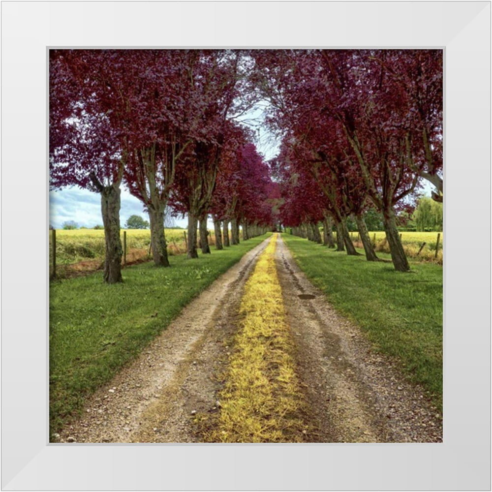 Chester, Colby 20x20 White Modern Wood Framed Museum Art Print Titled ...