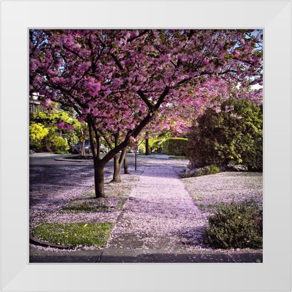 Chester, Colby 20x20 White Modern Wood Framed Museum Art Print Titled ...