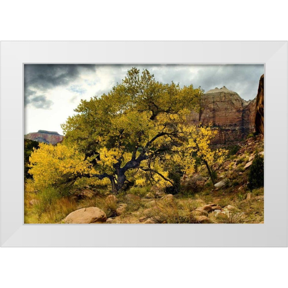 Chester, Colby 32x23 White Modern Wood Framed Museum Art Print Titled ...