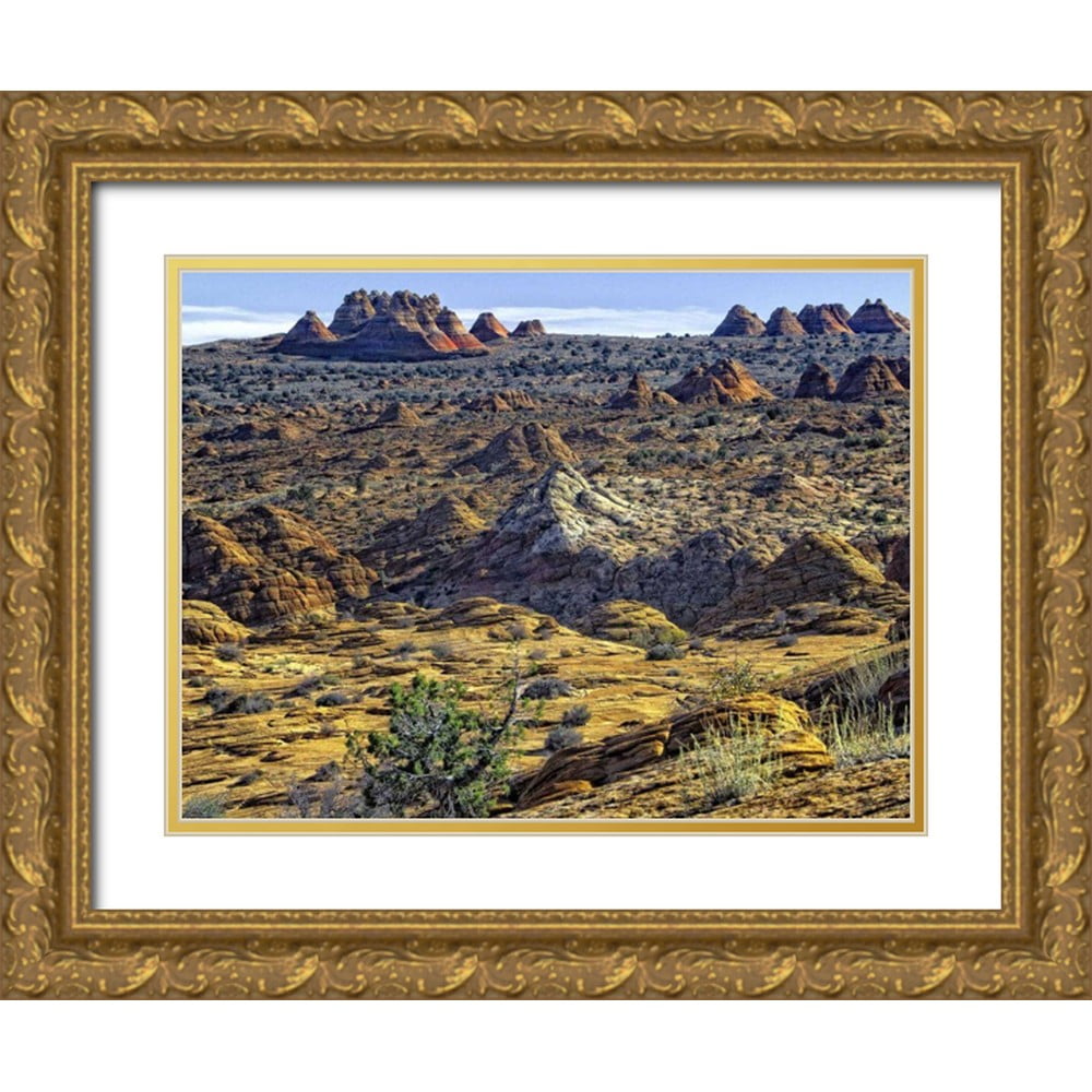 Chester, Colby 32x25 Gold Ornate Wood Framed with Double Matting Museum ...